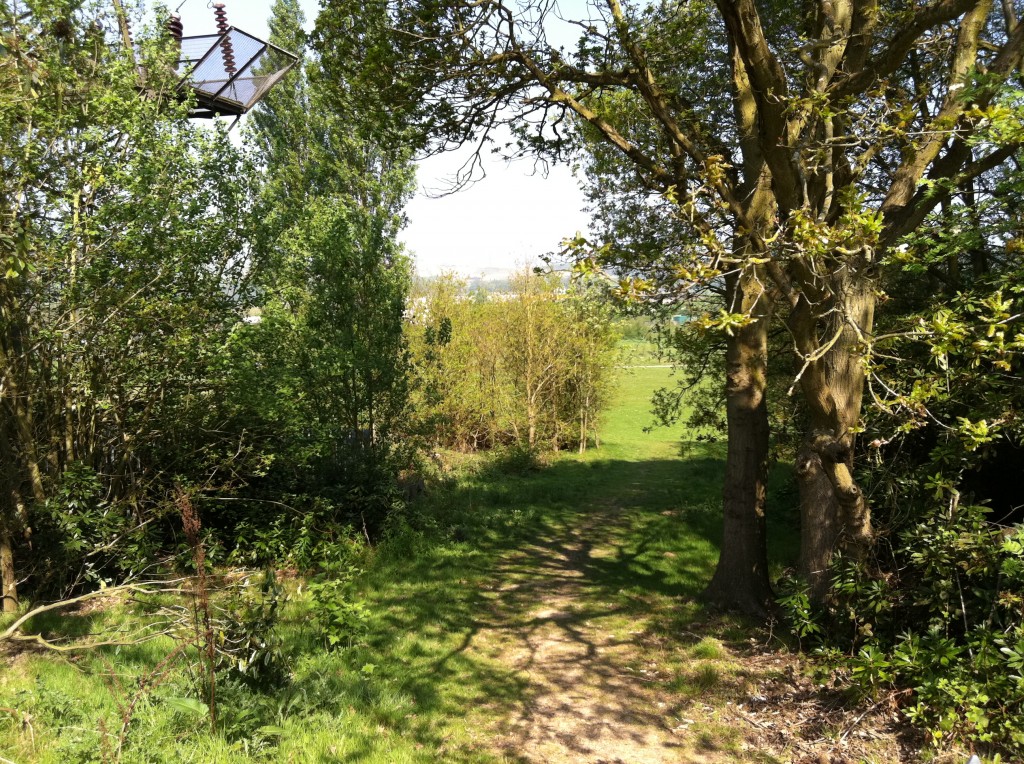 The Saxon Way – Augustine Of Canterbury