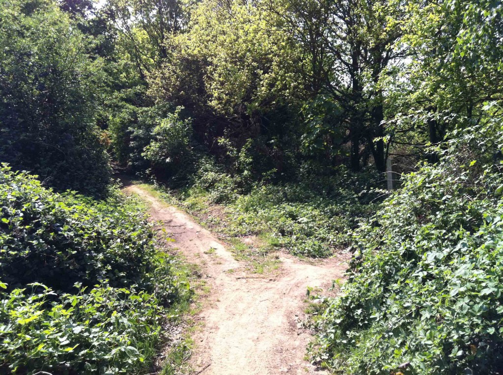 The Saxon Way – Augustine Of Canterbury